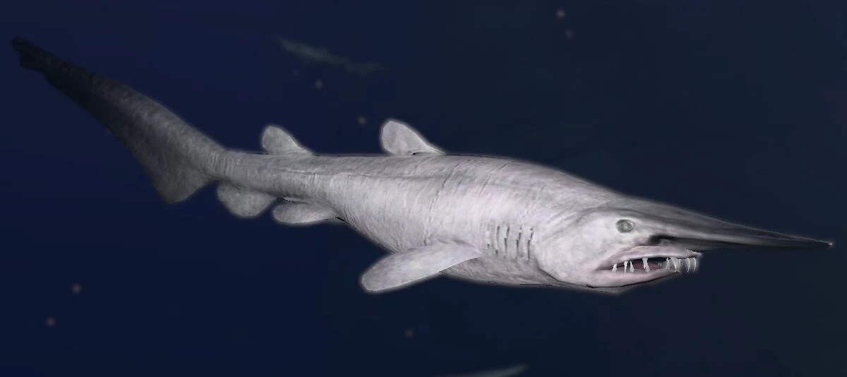 Goblin Shark | Animals. Animals, Animals! Wiki | Fandom