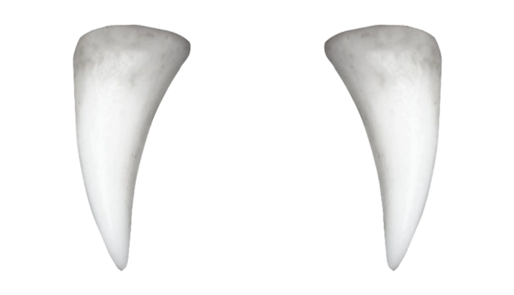 Fangs | Animals. Animals, Animals! Wiki | Fandom