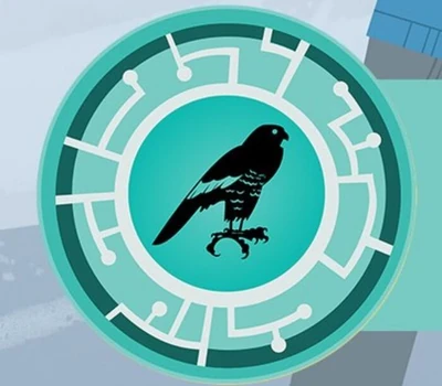 Peregrine Falcon Power | Animals. Animals, Animals! Wiki | Fandom