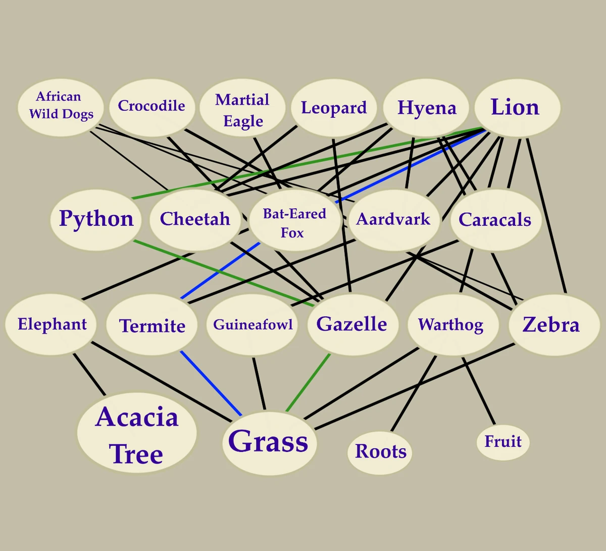 Food Web | Animals. Animals, Animals! Wiki | Fandom