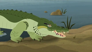 Crocodilla | Animals. Animals, Animals! Wiki | Fandom