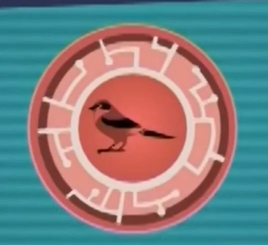 Loggerhead Shrike Power | Animals. Animals, Animals! Wiki | Fandom