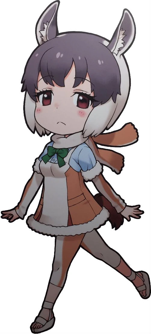 Guanaco | Animals Wiki | Fandom