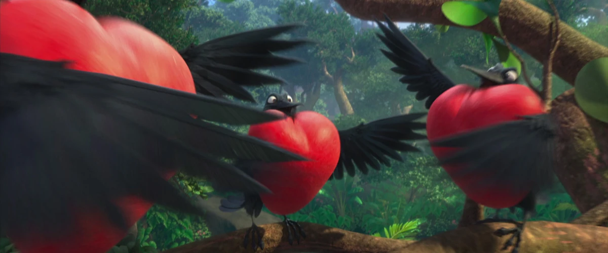 Magnificent Frigatebird | Animals Wiki | Fandom