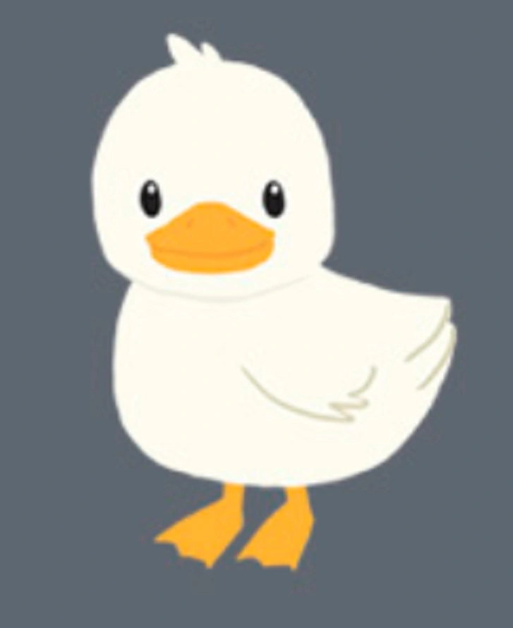 Duck | Animals Wiki | Fandom