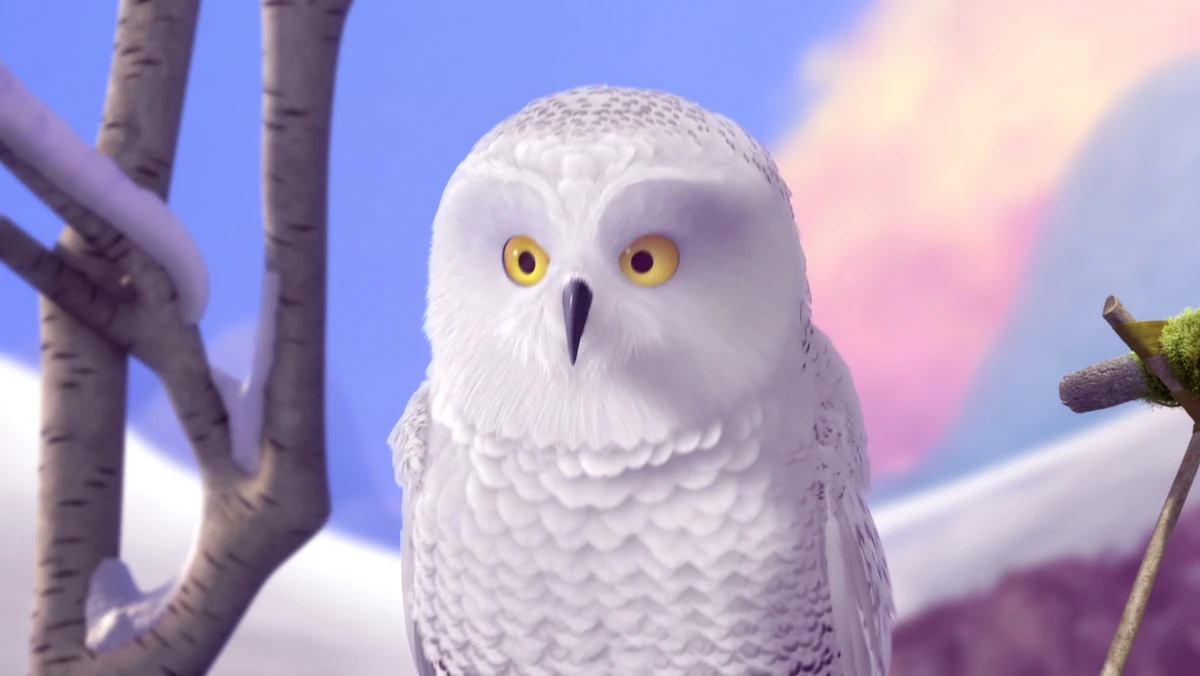Snowy Owl | Animals Wiki | Fandom
