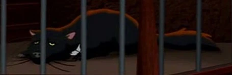 Tasmanian Devil | Animals Wiki | Fandom