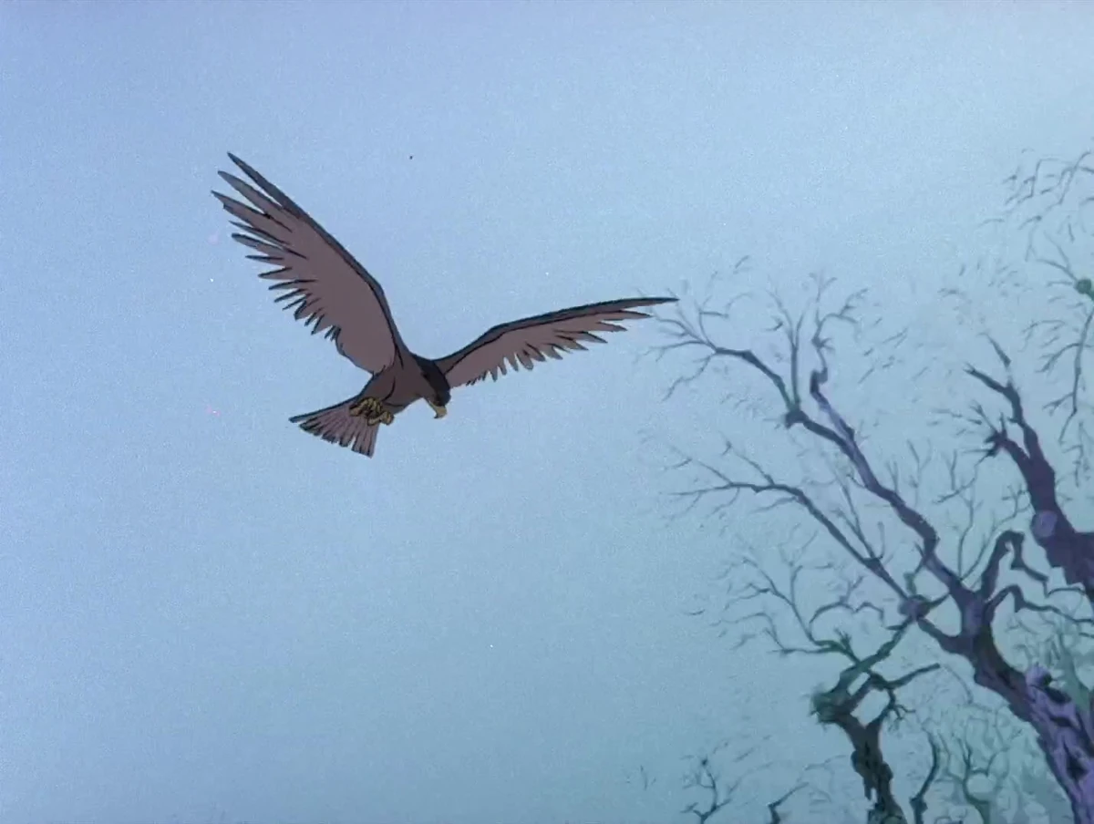 Common Buzzard | Animals Wiki | Fandom