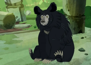 Sloth Bear | Animals Wiki | Fandom
