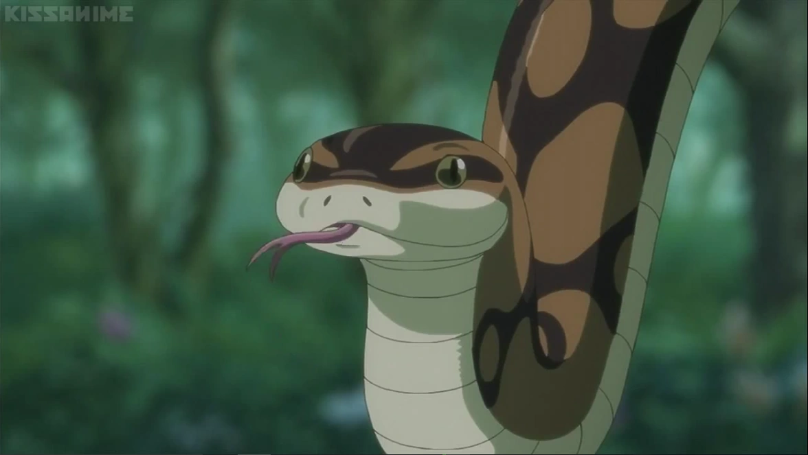 Reticulated Python | Animals Wiki | Fandom