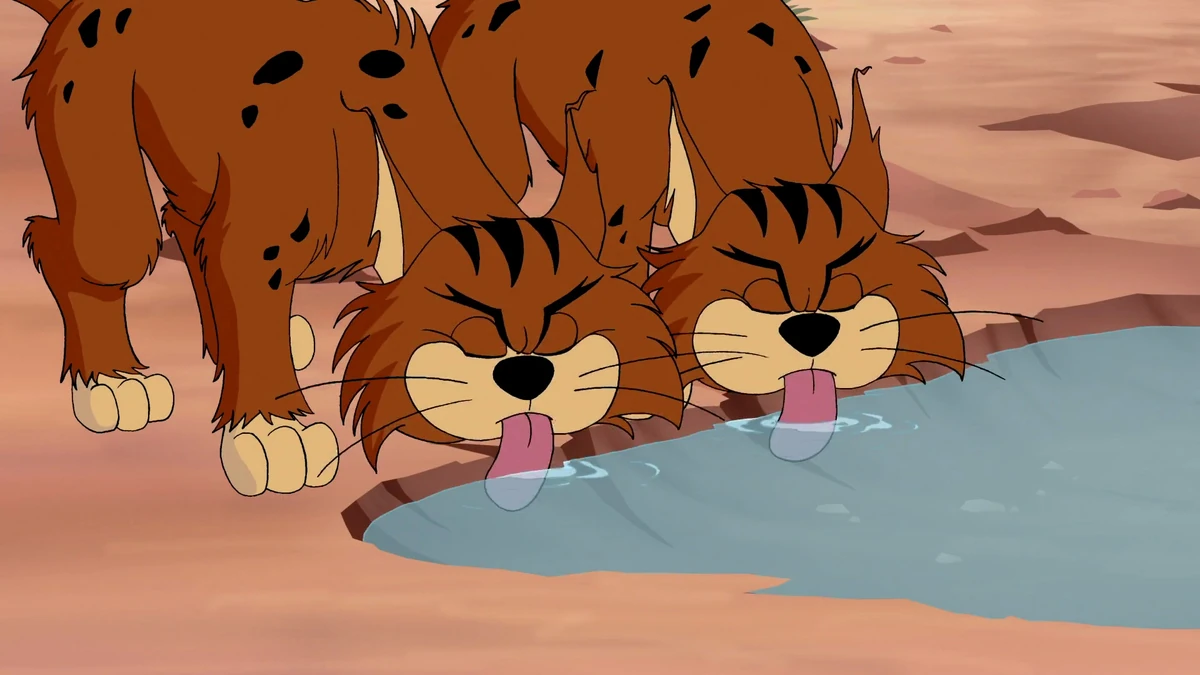 Bobcat | Animals Wiki | Fandom