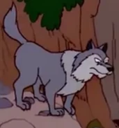 Grey Wolf | Animals Wiki | Fandom