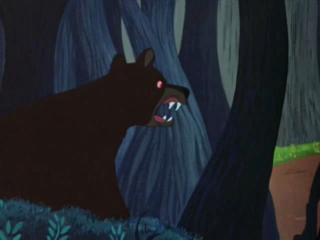 American Black Bear | Animals Wiki | Fandom