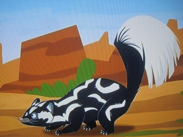 Western Spotted Skunk | Animals Wiki | Fandom