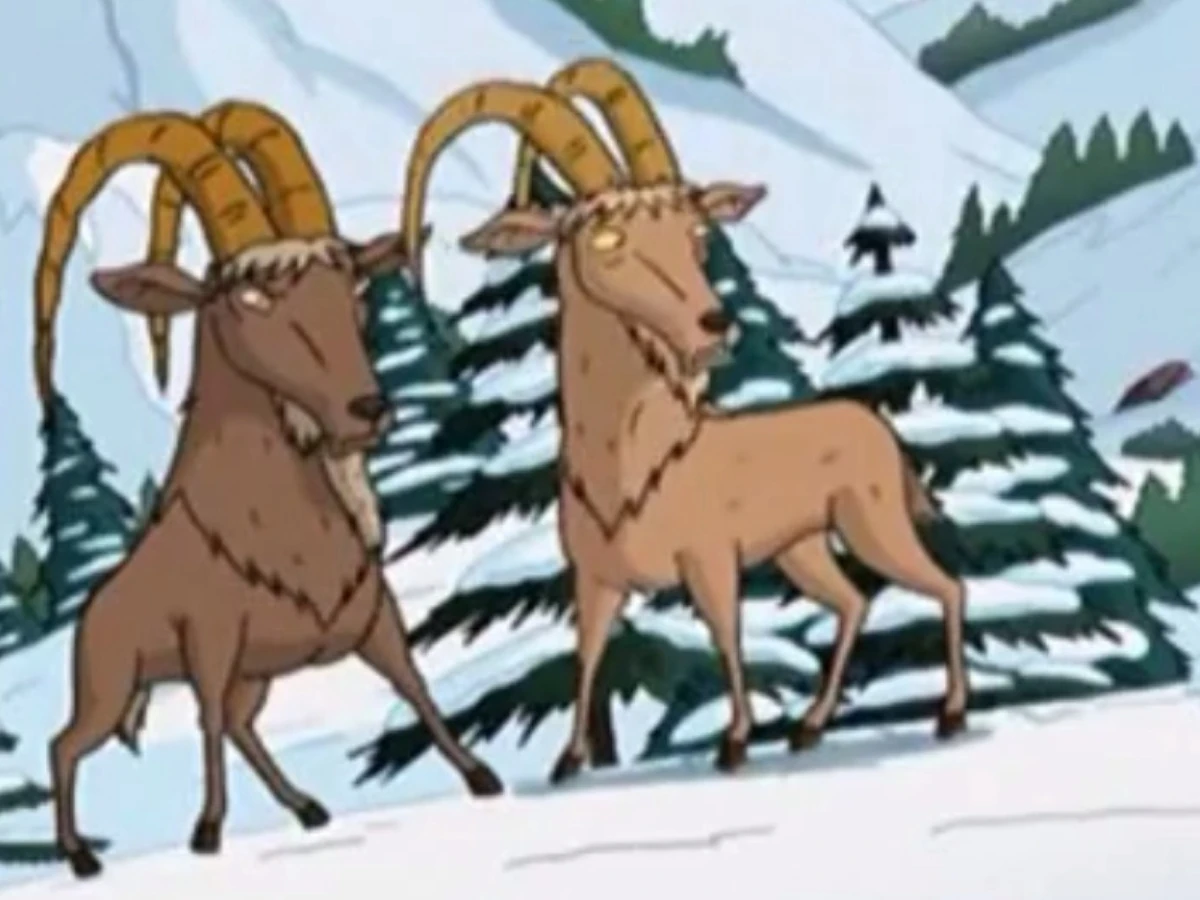 Alpine Ibex | Animals Wiki | Fandom