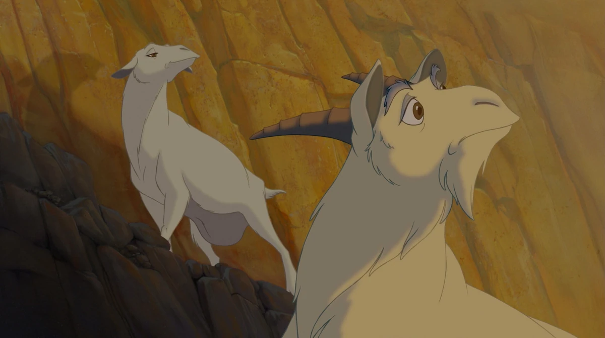 Mountain Goat | Animals Wiki | Fandom