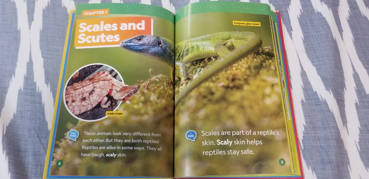 List of Species in National Geographic Readers Reptiles | Animals Wiki ...