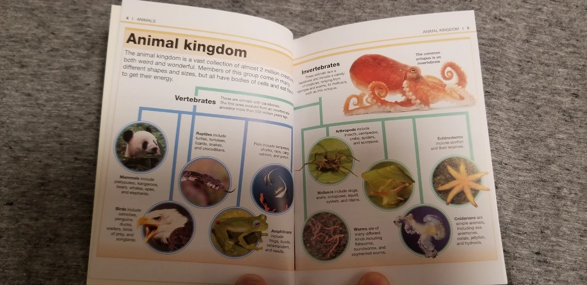 List of Species in Pocket Genius Animals | Animals Wiki | Fandom