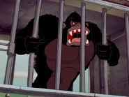 List of Species seen in Dumbo | Animals Wiki | Fandom