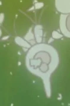 Cluster Coral | Animals Wiki | Fandom