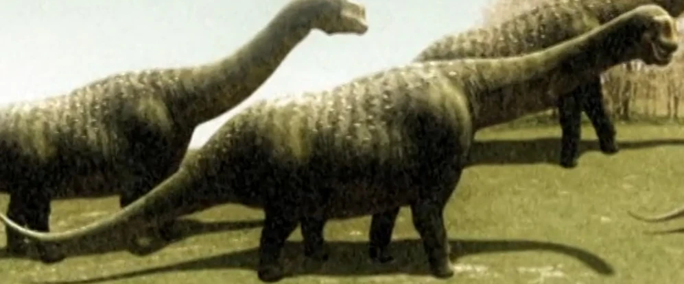 Paralititan | Animals Wiki | Fandom