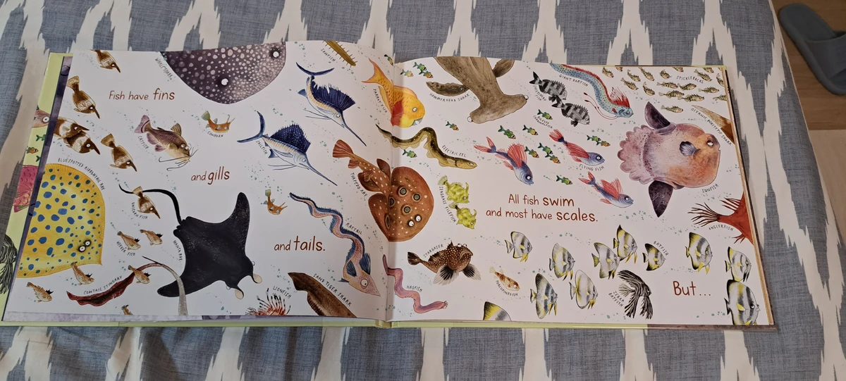 List of Species in Freaky, Funky Fish | Animals Wiki | Fandom