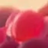 Australian Cownose Ray | Animals Wiki | Fandom