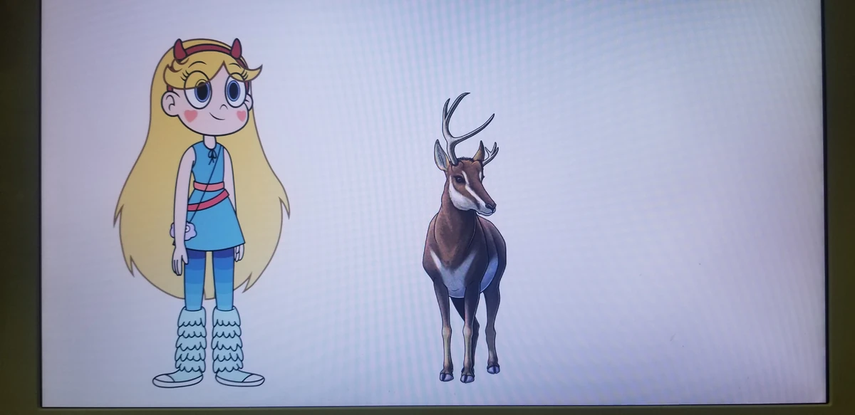 Ramoceros | Animals Wiki | Fandom