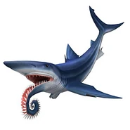 Helicoprion | Animals Wiki | Fandom