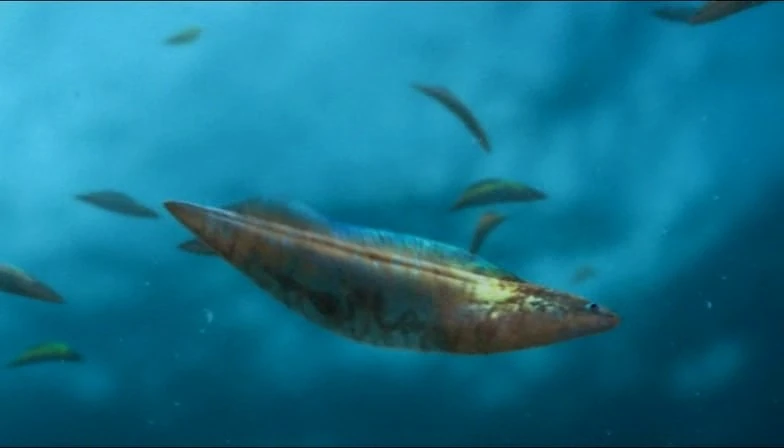 Haikouichthys | Animals Wiki | Fandom