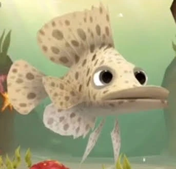 Greasy Grouper | Animals Wiki | Fandom