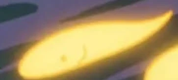 Lord Howe Butterflyfish | Animals Wiki | Fandom