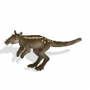 Leptictidium | Animals Wiki | Fandom