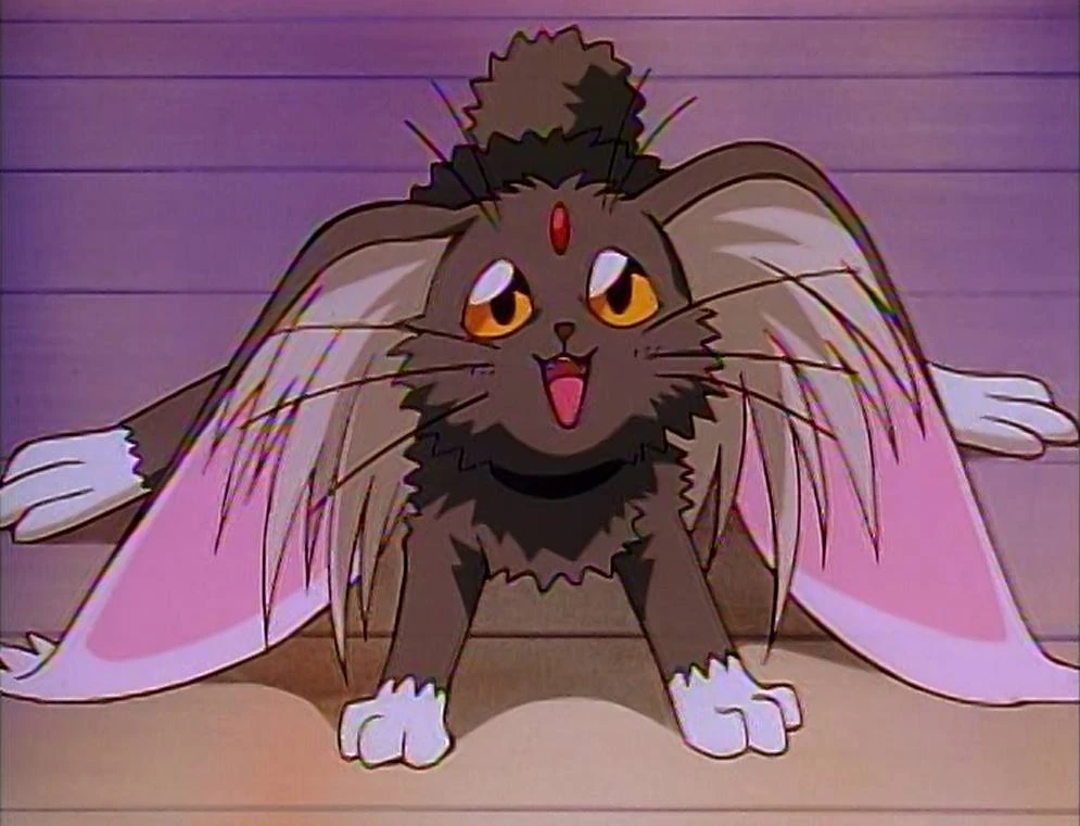 Cabbit | Animals Wiki | Fandom