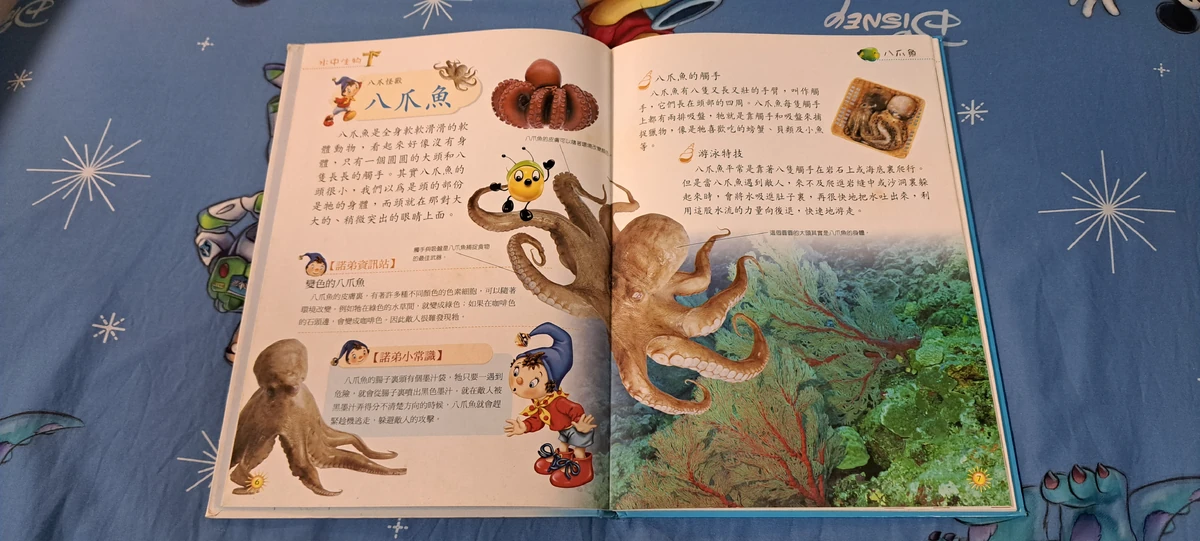 List of Species in Noddy Natural Museum Book Aquatic Life Museum ...