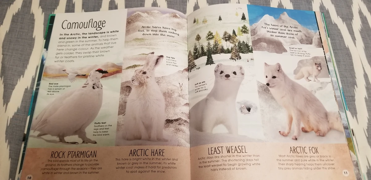 List of Species in The Frozen Worlds | Animals Wiki | Fandom