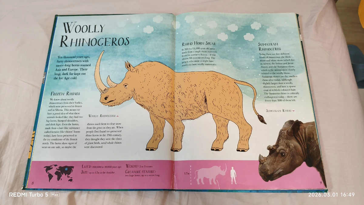 List of Species in Animasaurus | Animals Wiki | Fandom