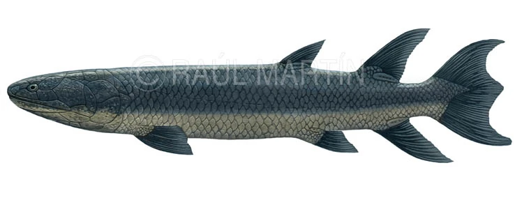 Eusthenopteron | Animals Wiki | Fandom