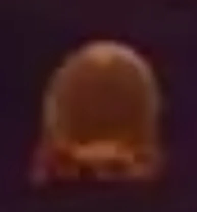 Night Stalker | Animals Wiki | Fandom