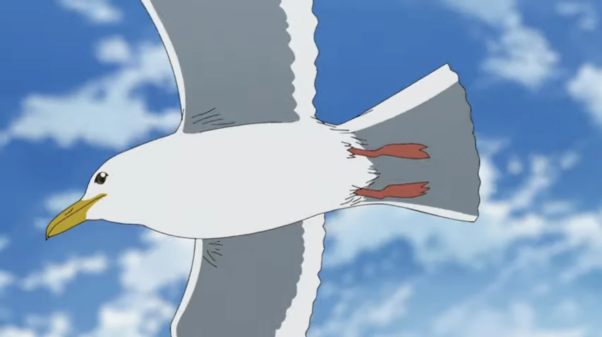 Iceland Gull | Animals Wiki | Fandom