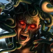 Gorgon | Animals Wiki | Fandom