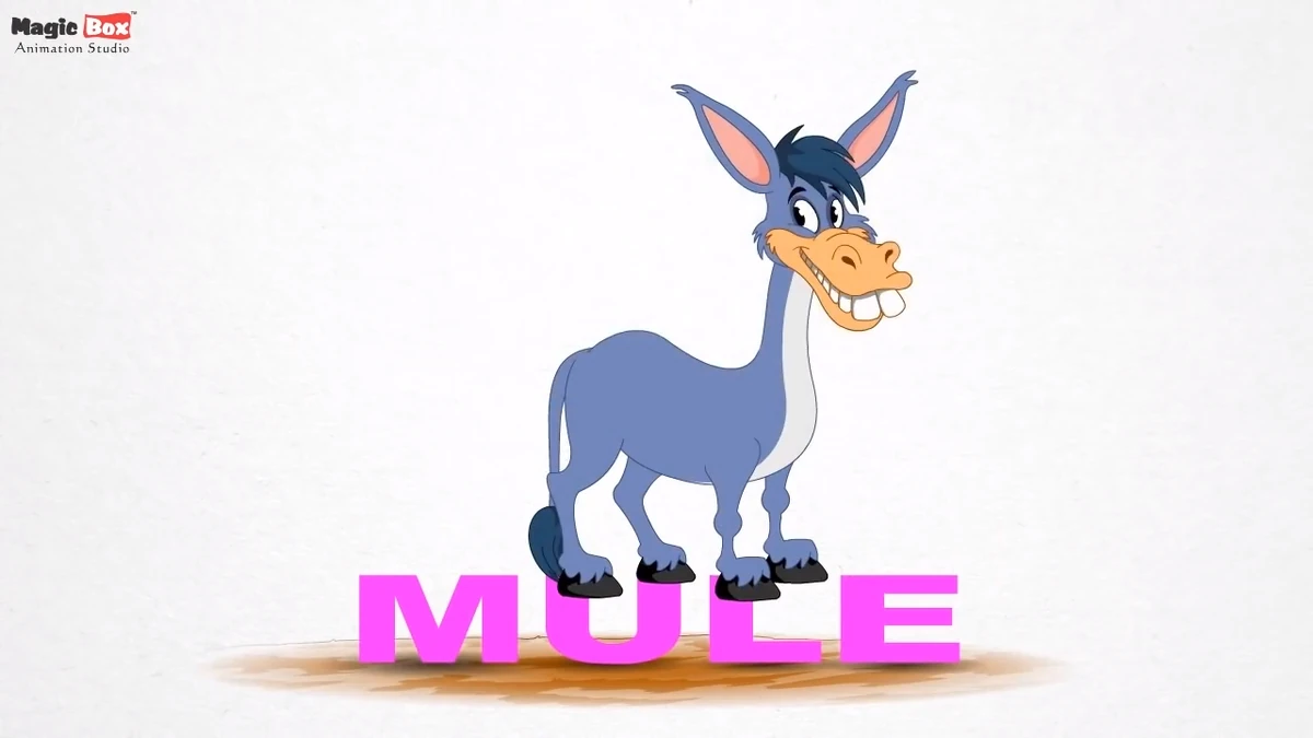 Mule | Animals Wiki | Fandom