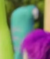 Aunyaina | Animals Wiki | Fandom