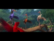 List of Species from Rio | Animals Wiki | Fandom