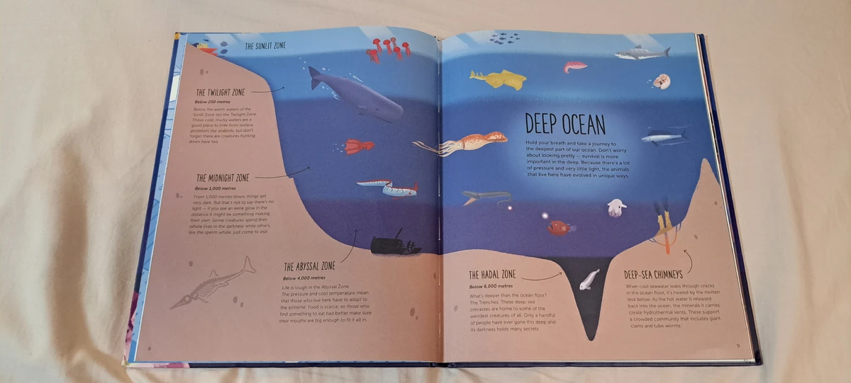 List of Species in Jess Mcgeachin Deep | Animals Wiki | Fandom