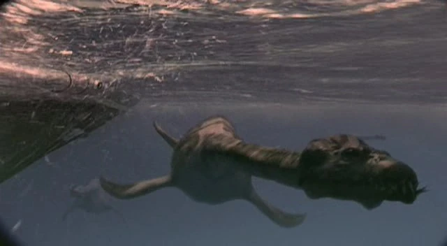 Elasmosaurus | Animals Wiki | Fandom