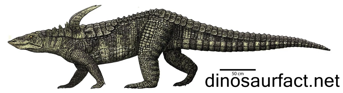 Desmatosuchus | Animals Wiki | Fandom