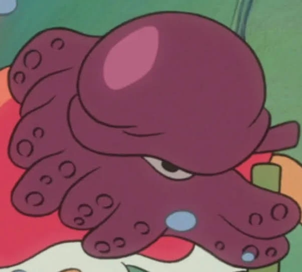 Old Woman Octopus | Animals Wiki | Fandom