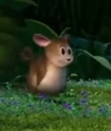 Senegal Bushbaby | Animals Wiki | Fandom