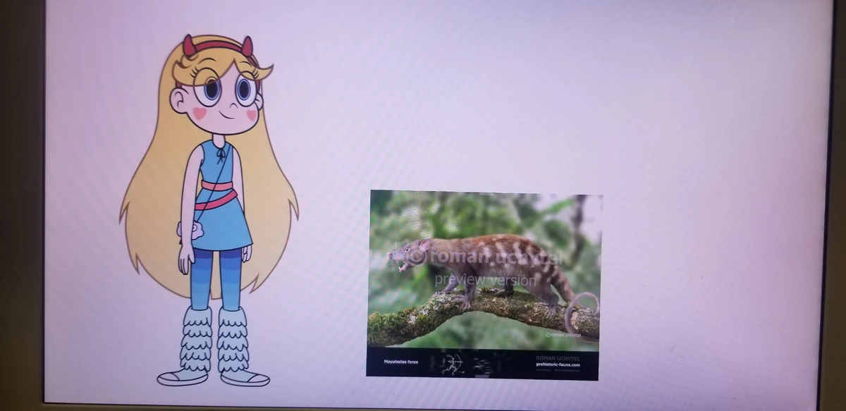 Mayulestes | Animals Wiki | Fandom